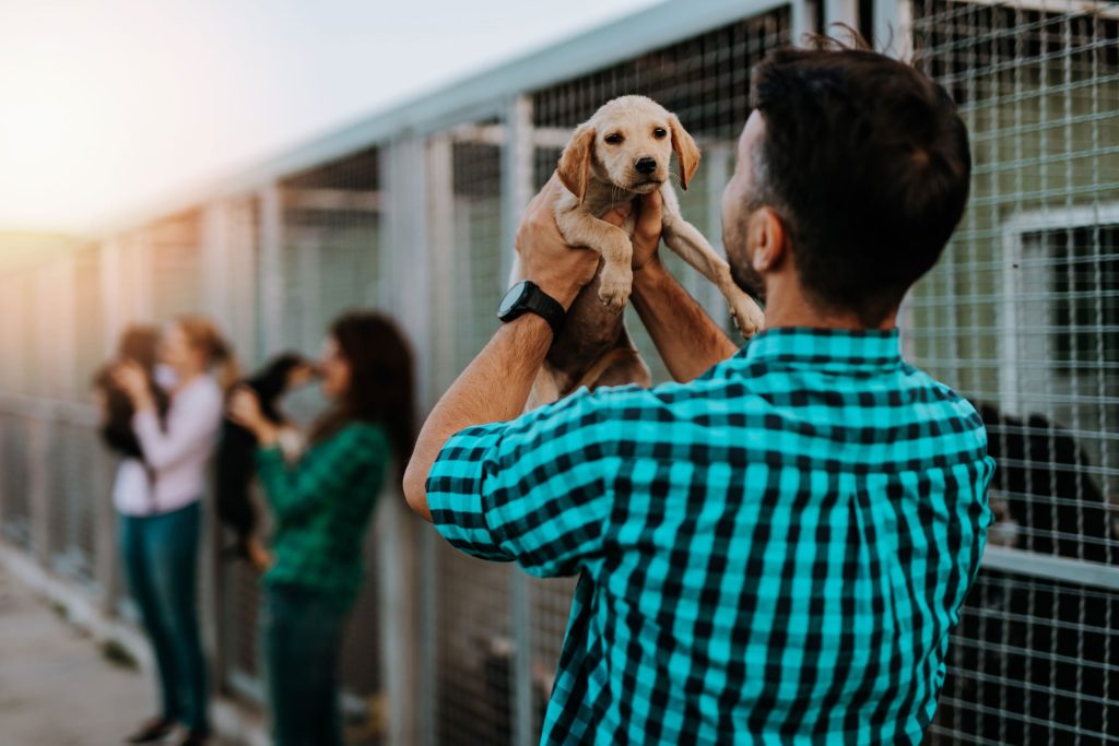 Getting a Dog: An All-Inclusive Guide to Bringing New Dogs Home