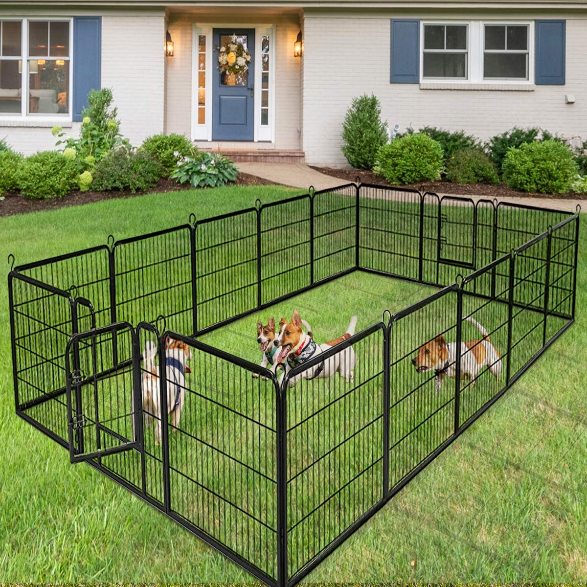 What You Need to Know About Fences for Your Dogs and Why You Should Get ...
